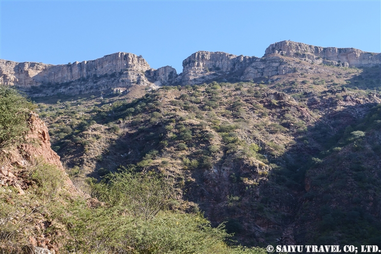 Punjab Urial (Salt Range) – Re:Discover Pakistan