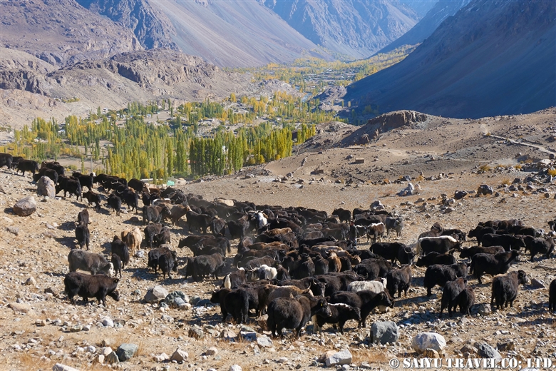 Crossing the Shandur Pass in the Autumn – Re:Discover Pakistan