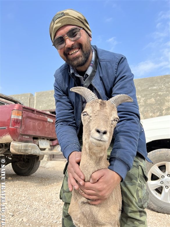 In Serch of Punjab Urial – Kalabagh Private Game Reserve – Re:Discover ...